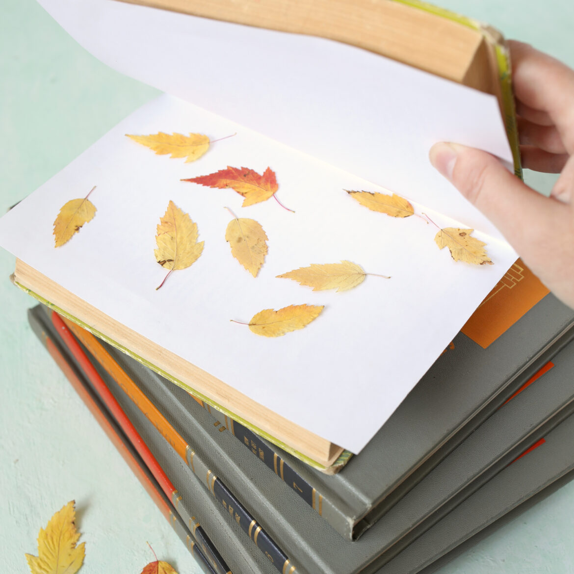 How To Fall Leaves Placemats Duck Brand