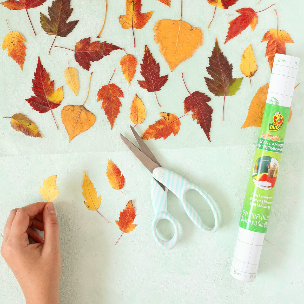How To Fall Leaves Placemats Duck Brand