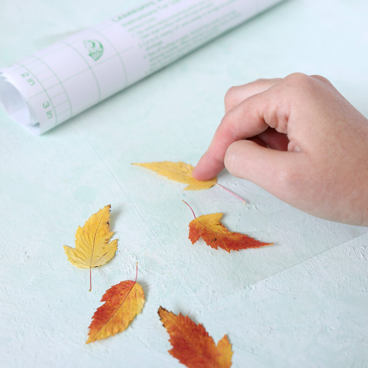 How To Fall Leaves Placemats Duck Brand