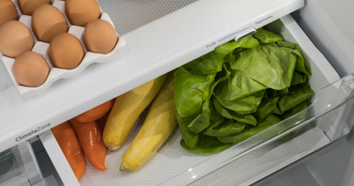 Refrigerator | Duck Brand